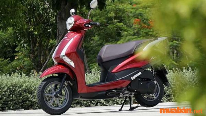 Giá Xe Yamaha Latte 2023 Mới Nhất 16/06 - Giá Lăn Bánh Và đại Lý