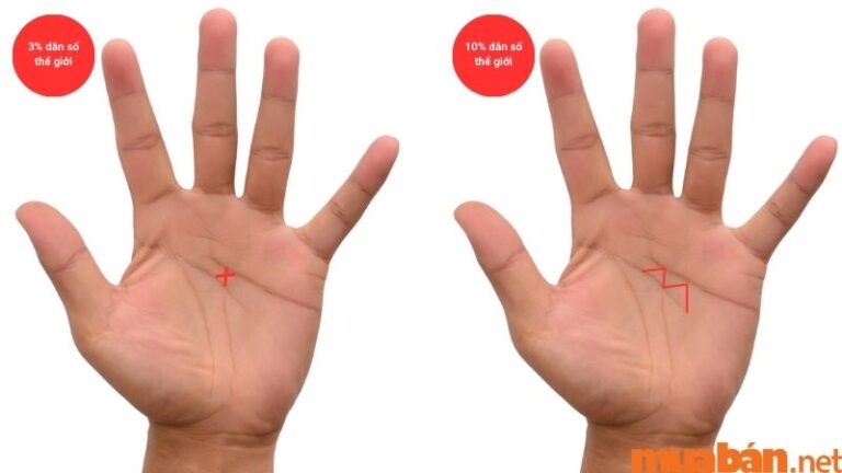 Bàn tay chữ X có ý nghĩa gì? Luận giải tính cách và vận mệnh