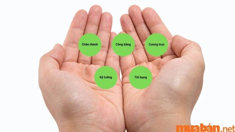 Bàn tay chữ X có ý nghĩa gì? Luận giải tính cách và vận mệnh
