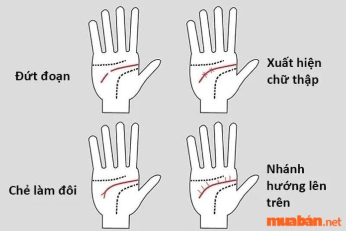 Khám phá ý nghĩa của những đường trí đạo thường gặp chi tiết