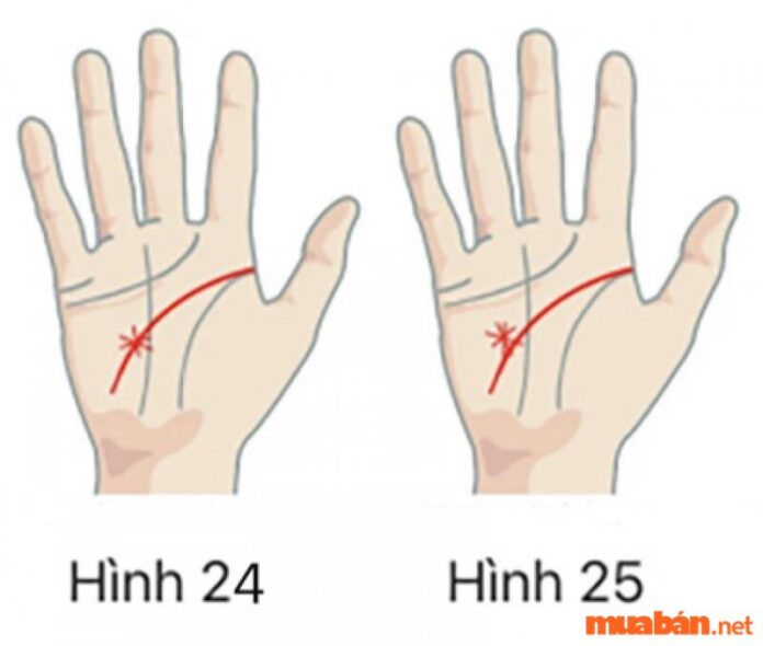 Khám phá ý nghĩa của những đường trí đạo thường gặp chi tiết