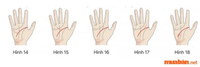 Khám phá ý nghĩa của những đường trí đạo thường gặp chi tiết