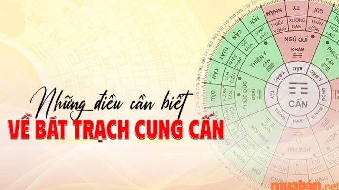 Cung Cấn là gì? Luận giải tử vi cho người cung cấn
